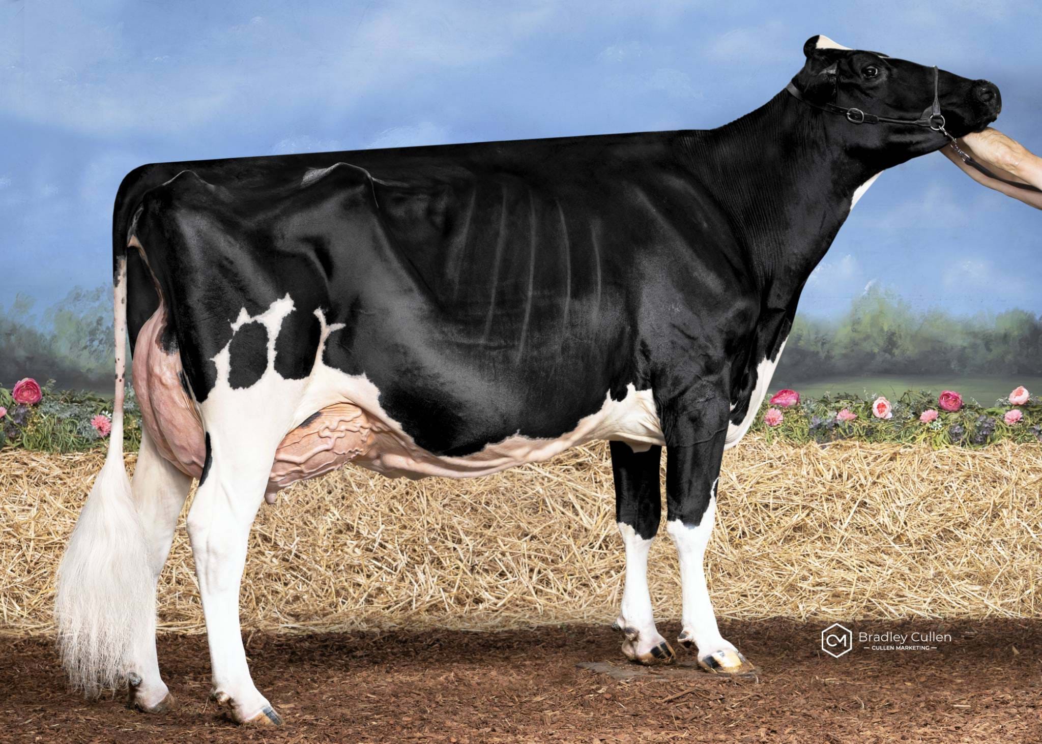 6 YEARS & OVER - IN MILK