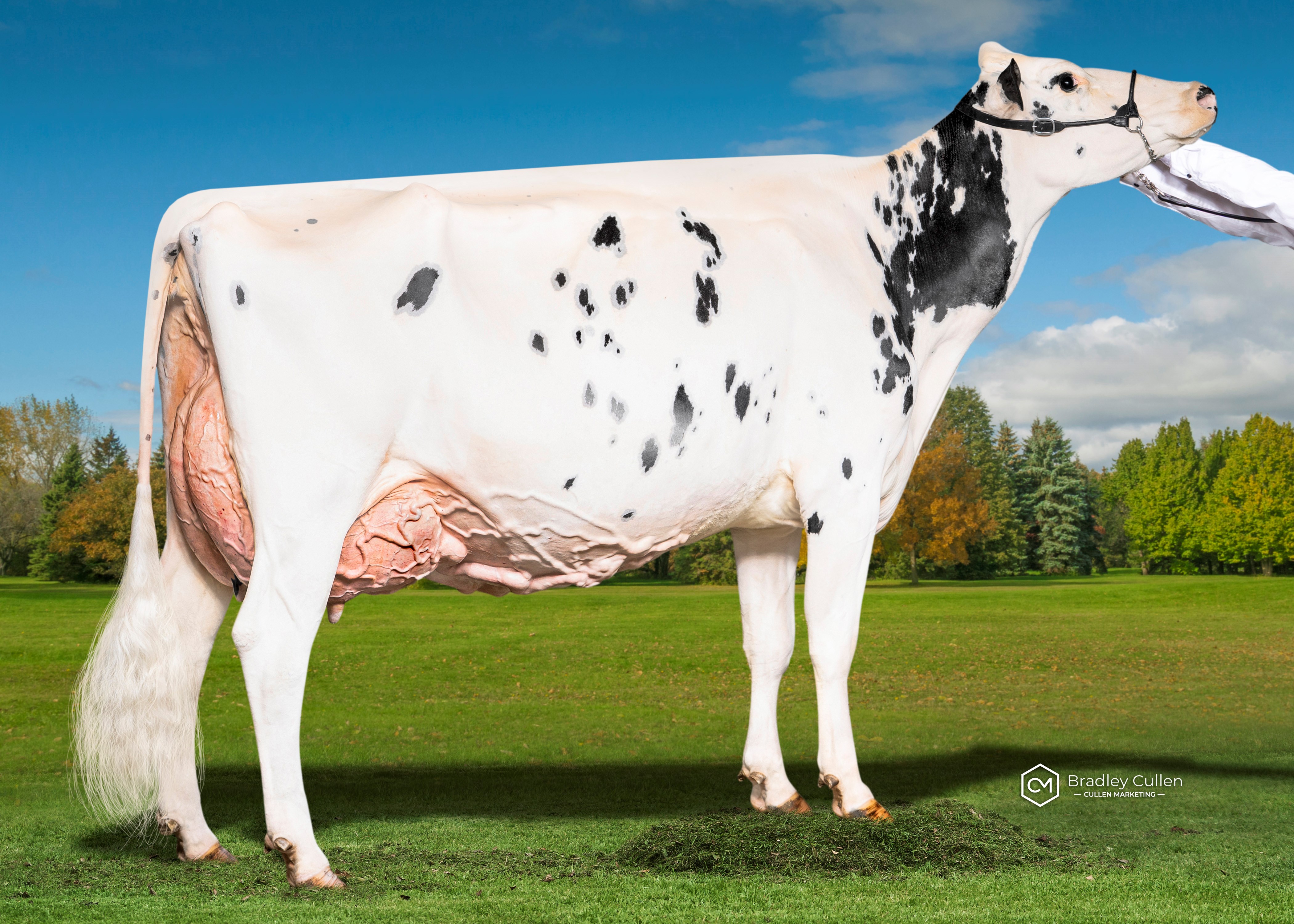 6 YEARS & OVER - IN MILK
