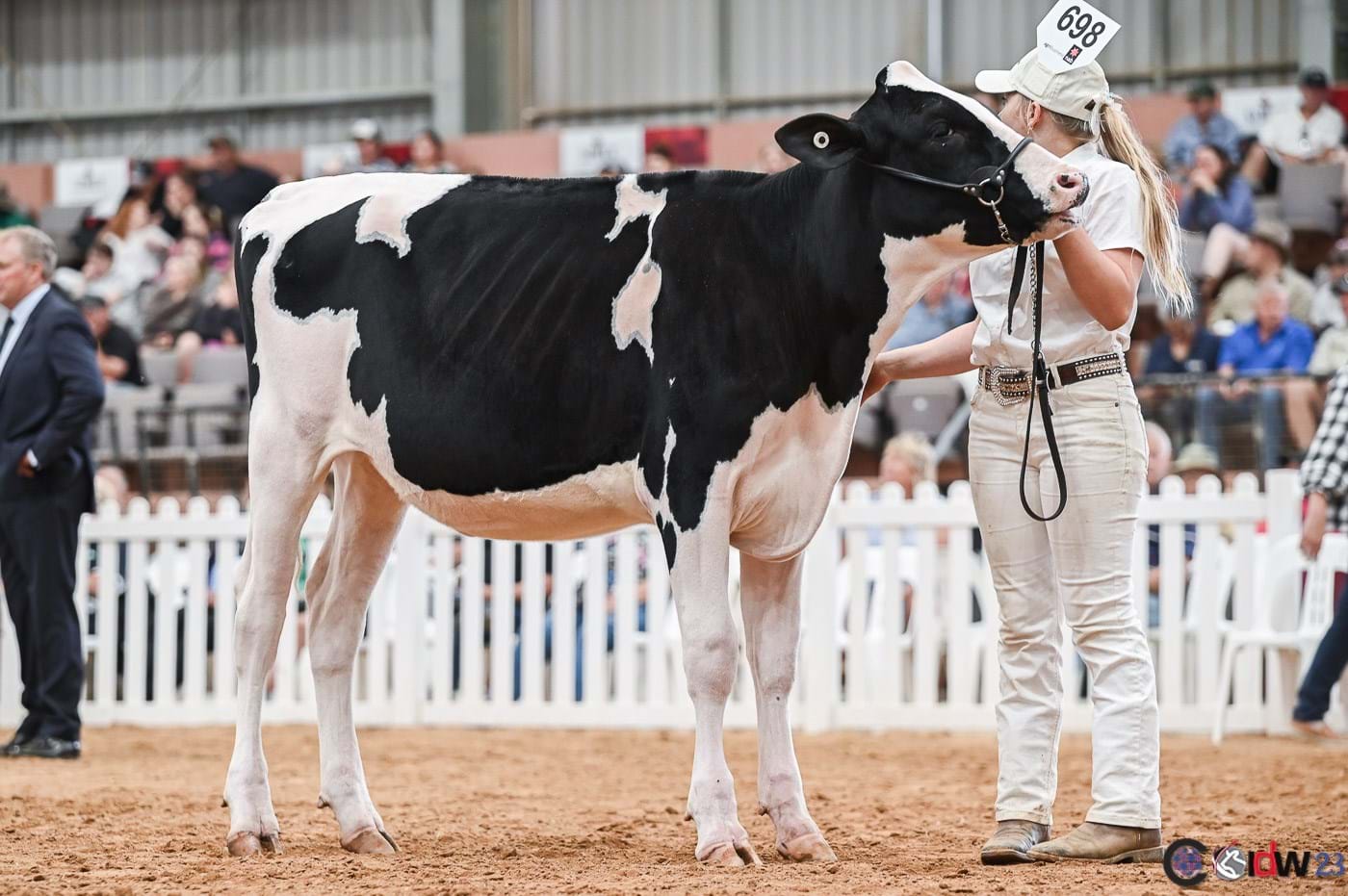 IDW 2023 - IN THE RING