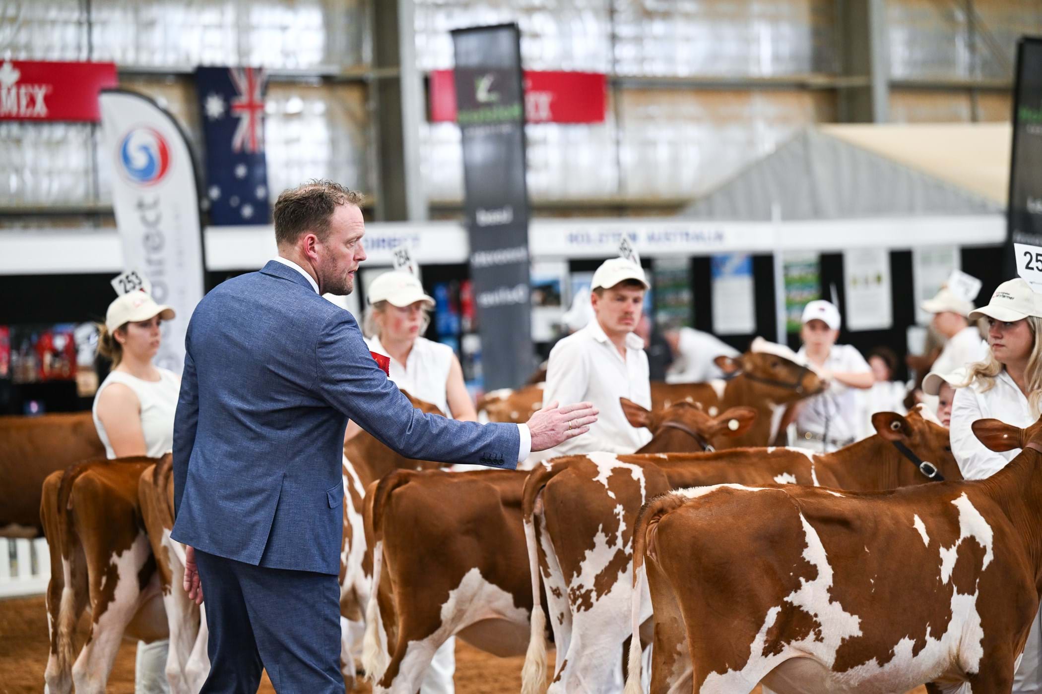 2024 NATIONAL RED & WHITE HOLSTEIN SHOW