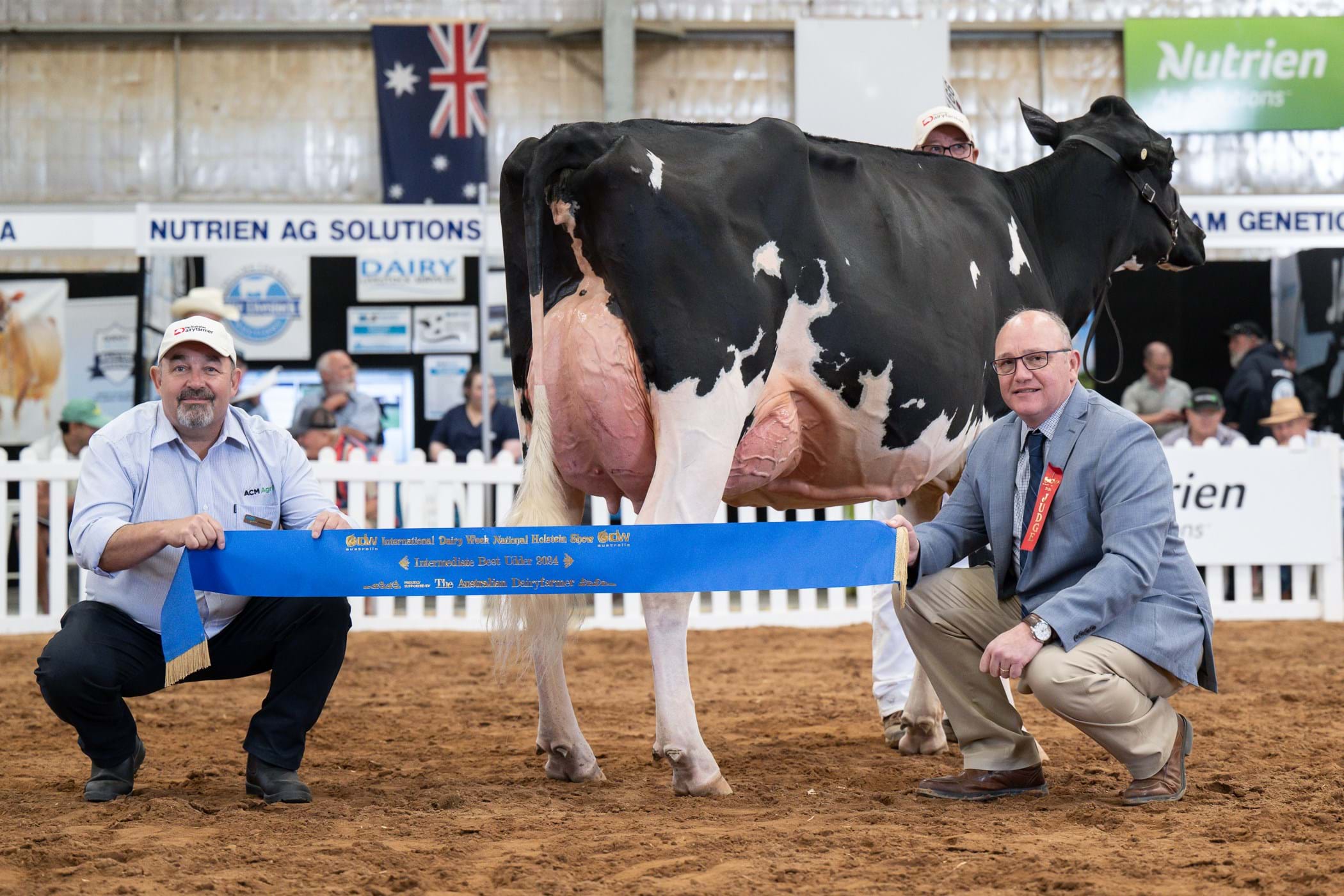2024 NATIONAL HOLSTEIN SHOW
