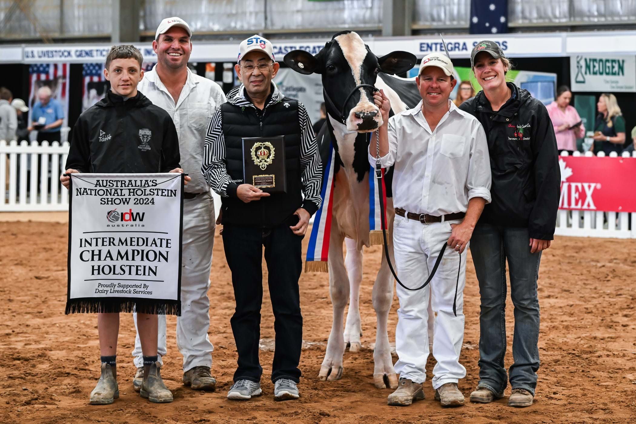 2024 NATIONAL HOLSTEIN SHOW