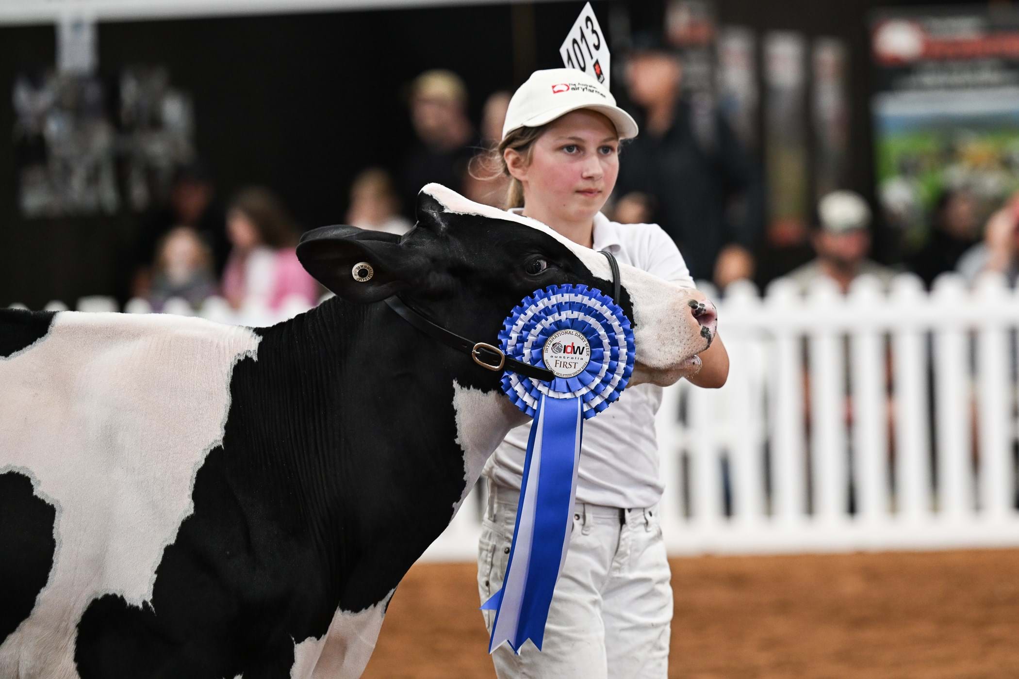 2024 NATIONAL HOLSTEIN SHOW