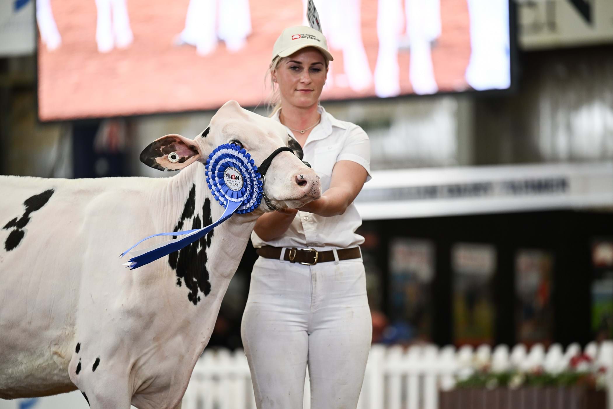 2024 NATIONAL HOLSTEIN SHOW
